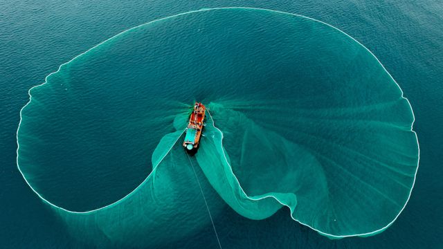 Cast away - Spotlight Gallery