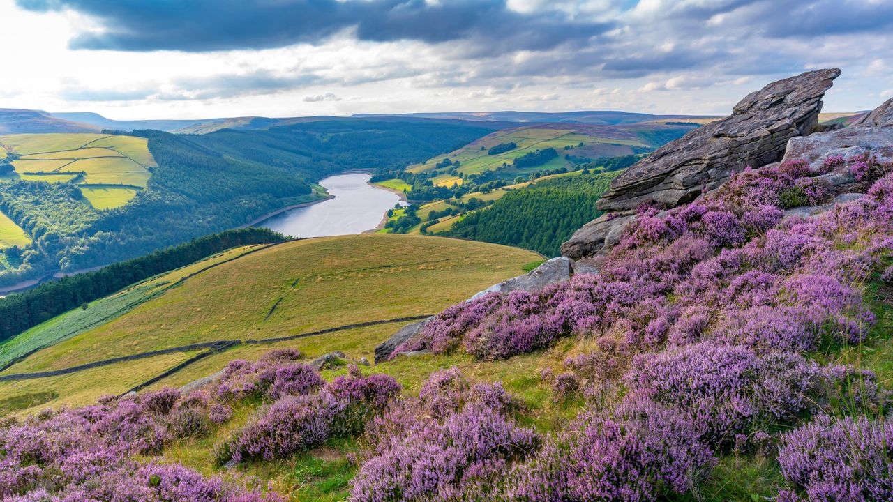 History and heather - Spotlight Gallery