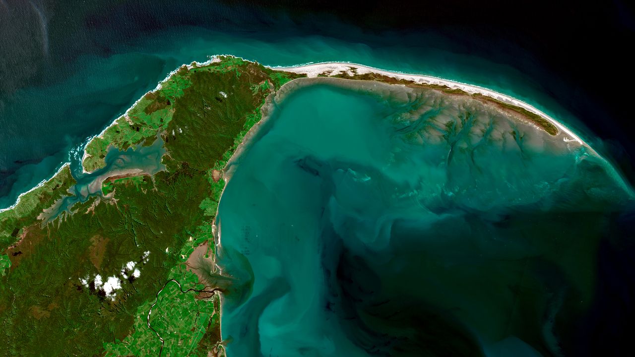 A kiwi-shaped spit - Spotlight Gallery