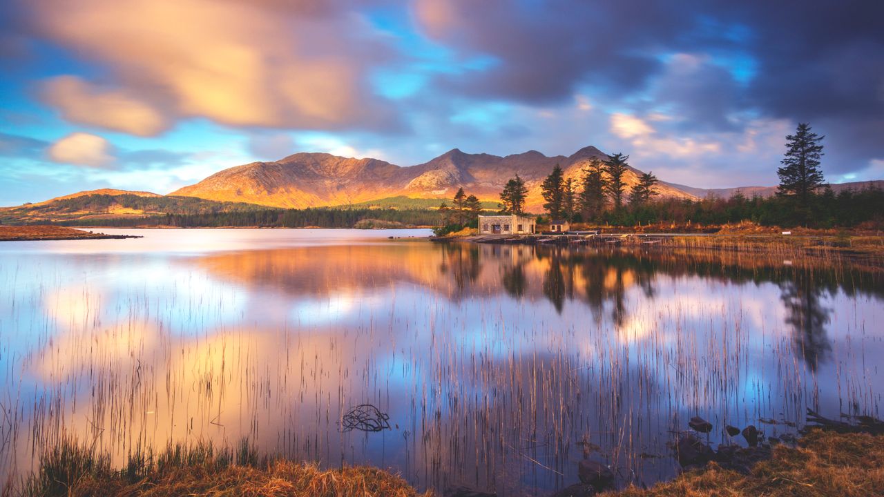 Galway aglow - Spotlight Gallery