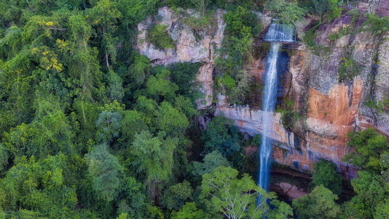 'Swiss' mists - Spotlight Gallery