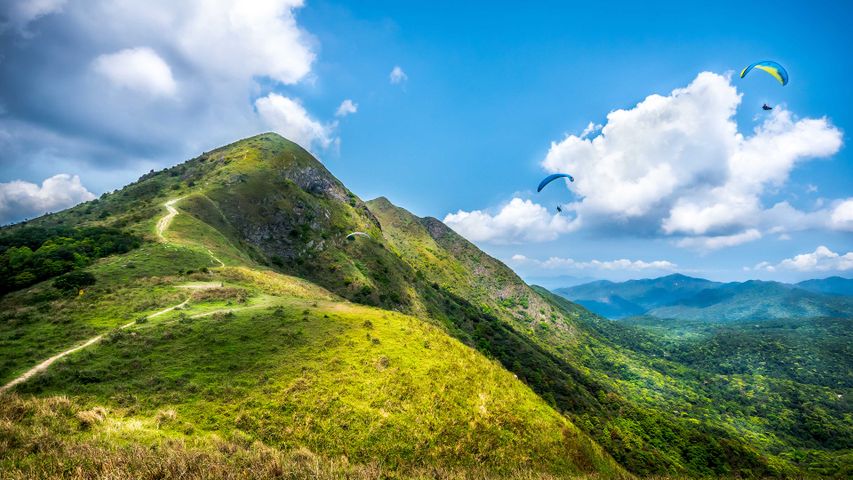 Peapix - Bing Daily Wallpapers & Spotlight HD Images