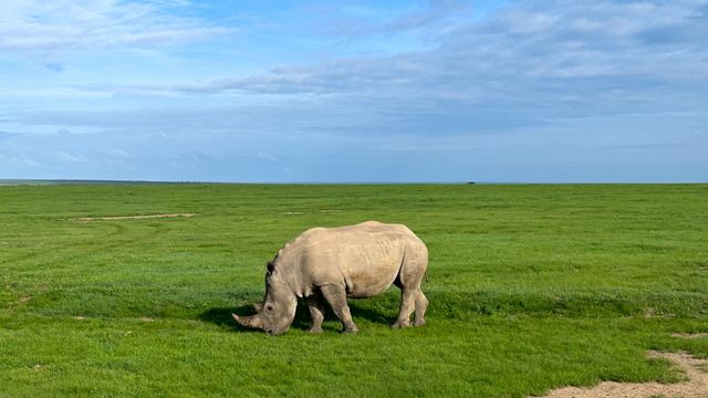 400+ Landscape Wallpapers - HD Spotlight Desktop Wallpapers · Peapix