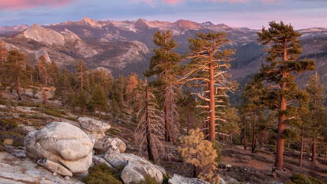 Clark Range, Sierra Nevada, parc national de Yosemite, Californie, États-Unis - Bing Gallery ...