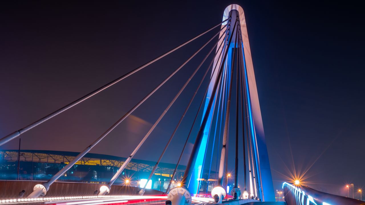 Buffalo in Belgium? - Spotlight Gallery