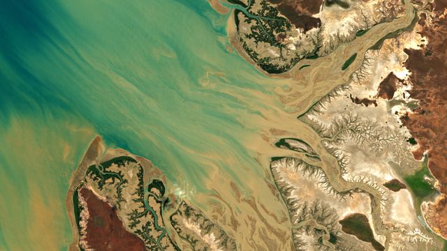 Watercolor wilderness - Spotlight Gallery