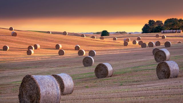 Hay bales, North Yorkshire, England - Bing Gallery · Peapix