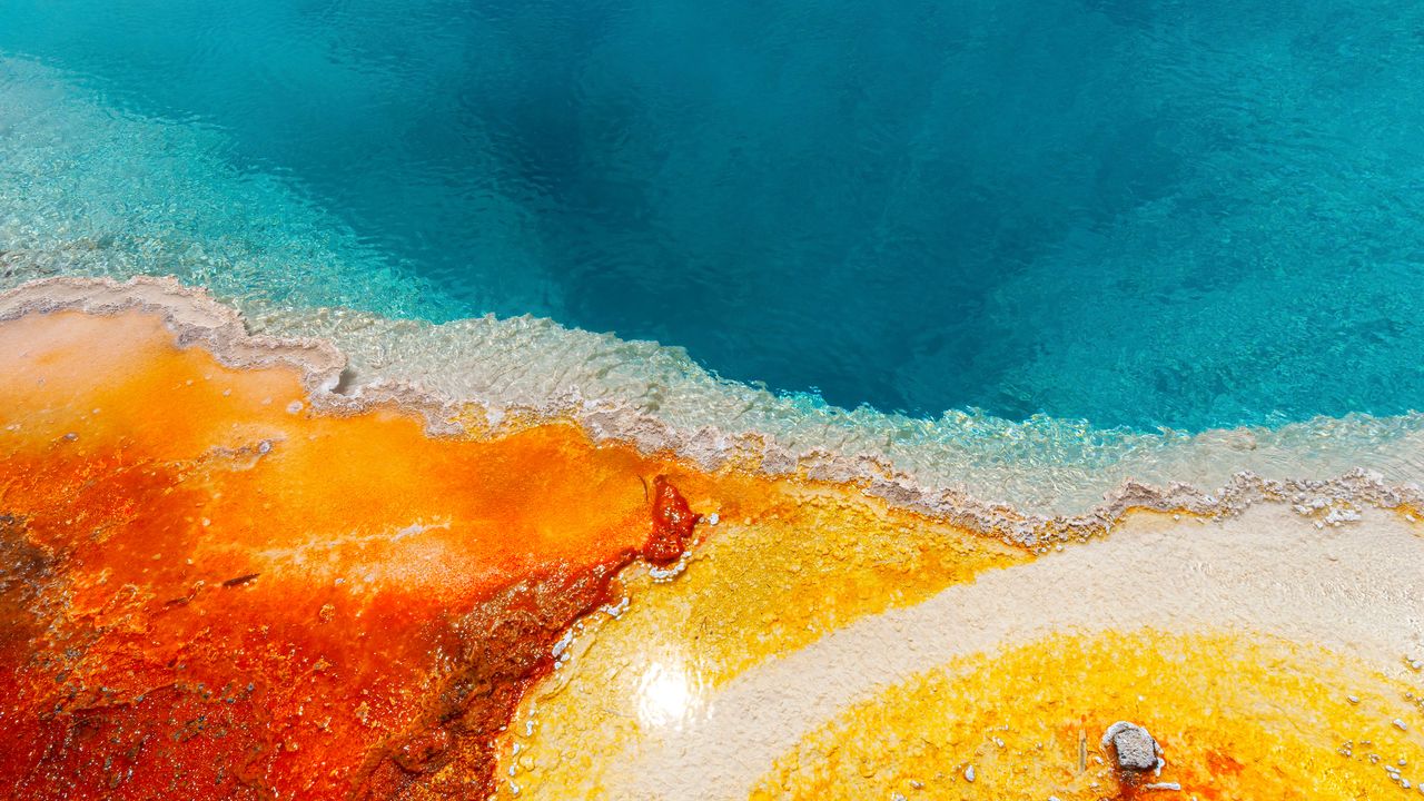 A basin aboil - Spotlight Gallery