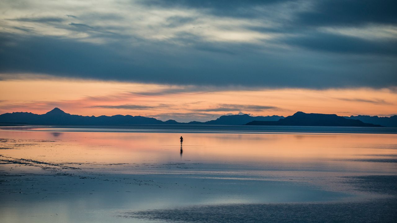 Water walker? - Spotlight Gallery