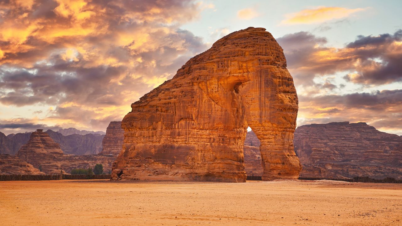 A petrified pachyderm? - Spotlight Gallery