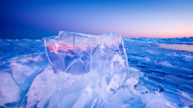 United States | Bing Daily Wallpaper Gallery – Browse Stunning HD Images