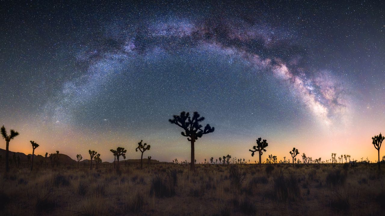 Joshua trees under the Milky Way, California, United States - Bing ...