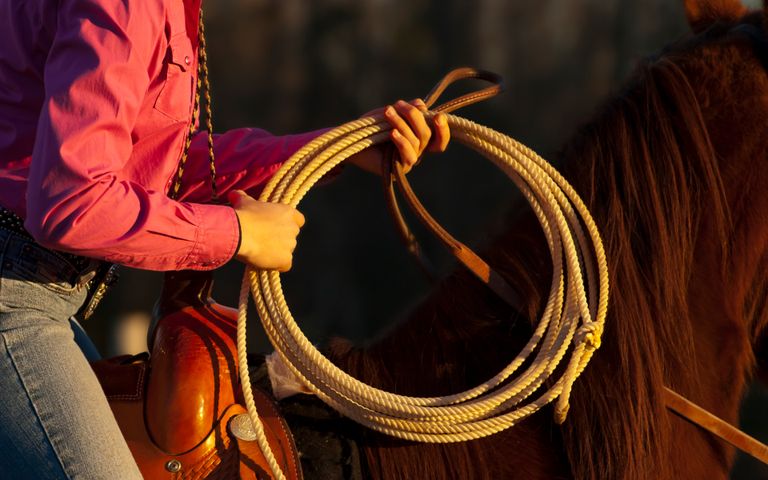 Ranch Hands Windows 10 Theme | Free Wallpaper Themes Ranch Hands Windows 10 Theme | Free Wallpaper Themes