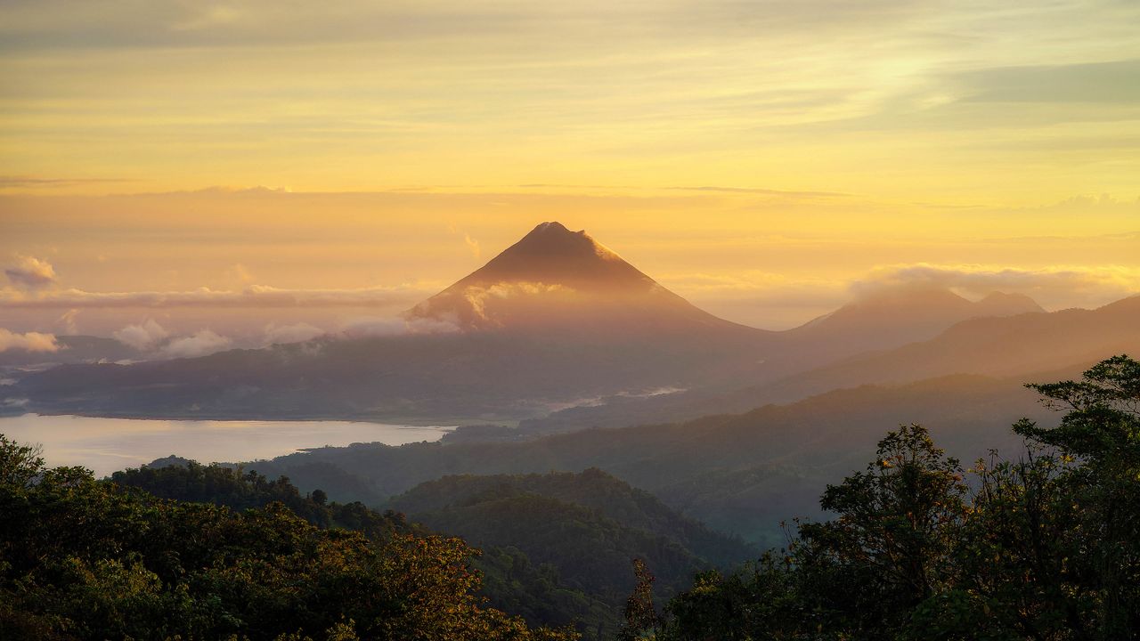 Ssh, it's sleeping - Spotlight Gallery