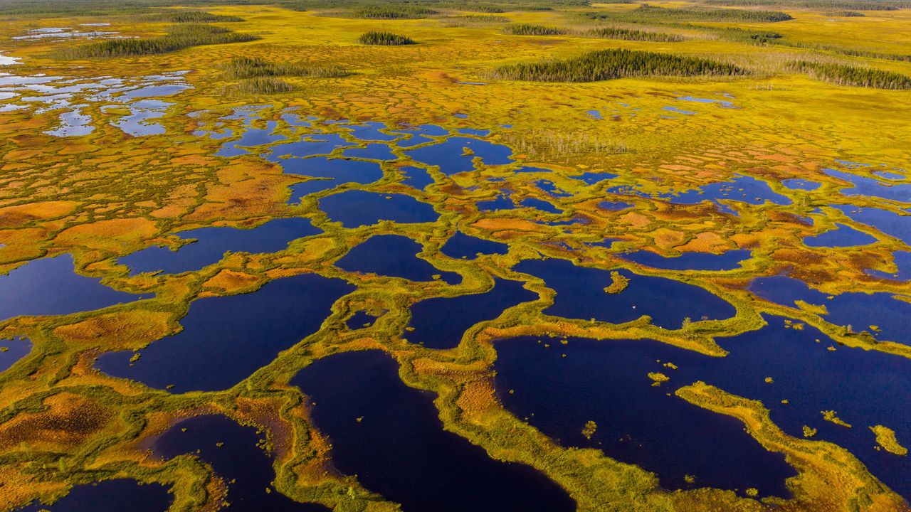 Aerial view of peatland in Martimoaapa Mire Reserve, Finland - Bing ...