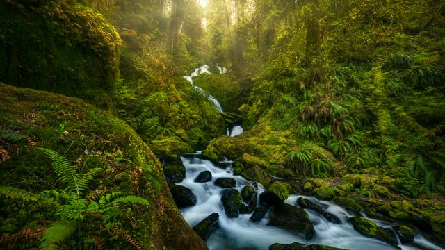 A waterfall in Olympic National Park, Washington, United States - Bing ...